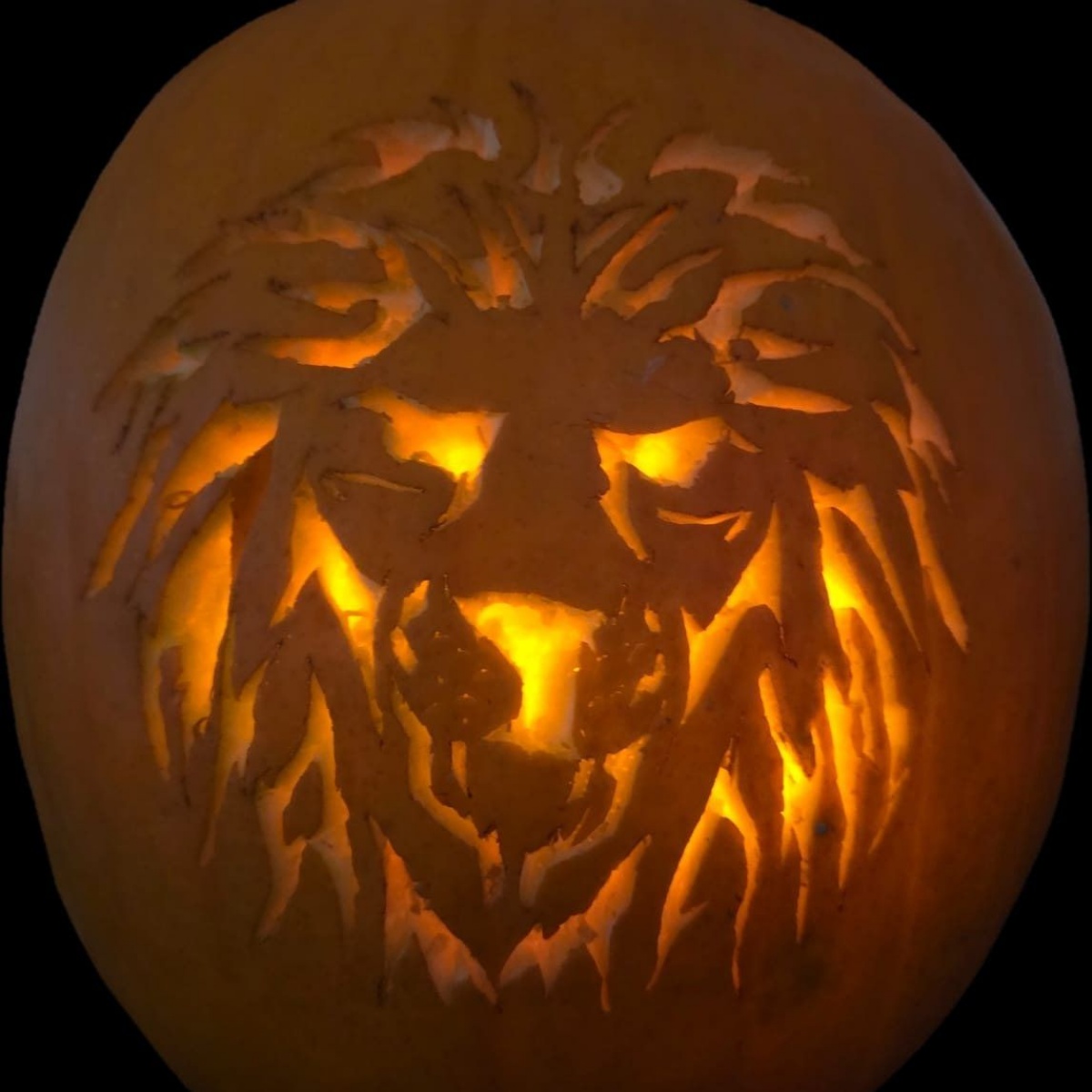 The Crossley Heath School - House Pumpkin Competition 2025